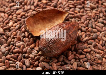 Whole pod of cocoa tree Stock Photo - Alamy