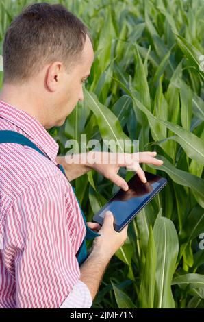 Farmer with tablet computer inspecting corn field Stock Photo - Alamy
