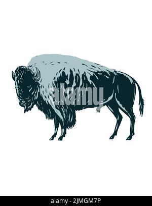 WPA poster art of an American bison, American buffalo or simply buffalo ...