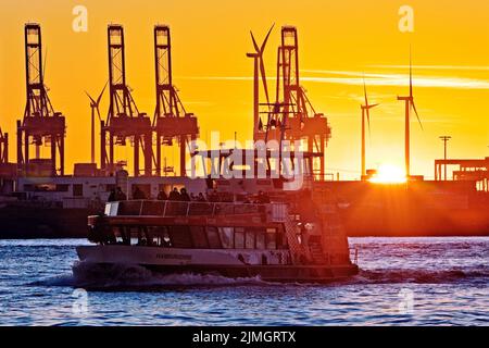Excursion ship in front of loading cranes at the container terminal at ...