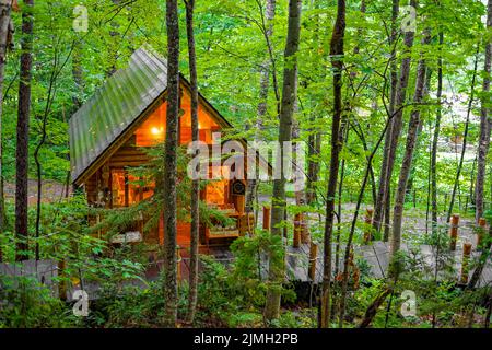 Image of Lodge standing in the forest Stock Photo - Alamy