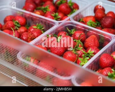 Plastic box full of red strawberries. Top view Stock Photo - Alamy