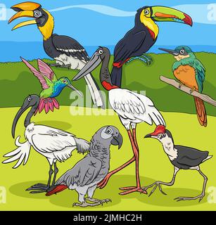 Birds animal characters group cartoon illustration Stock Photo - Alamy