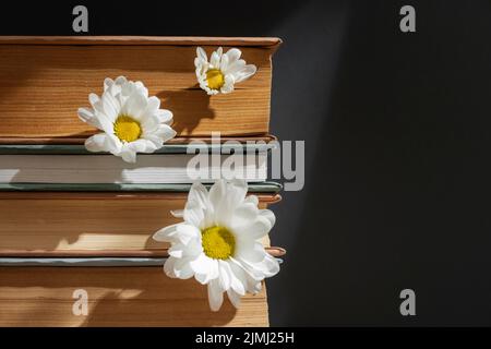 Composition with hardcover books Stock Photo - Alamy