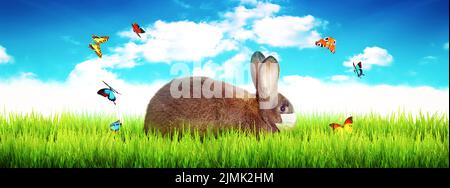 Easter rabbit with medical mask at epidemic time Stock Photo - Alamy
