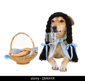Dog with black braids, dressed in China, from the Argentine countryside ...