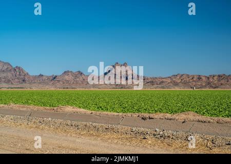 An overlooking view of nature in Yuma, Arizona Stock Photo - Alamy