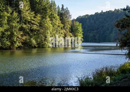 An overlooking view of nature in Ike Kinswa SP, Washington Stock Photo ...