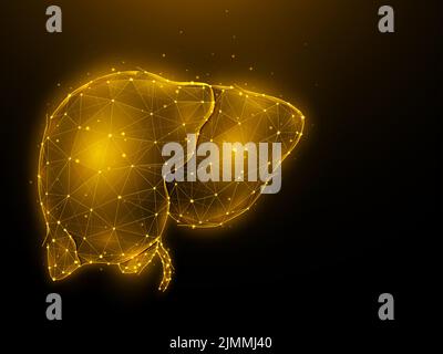 Abstract polygonal illustration of a human liver on a dark blue ...