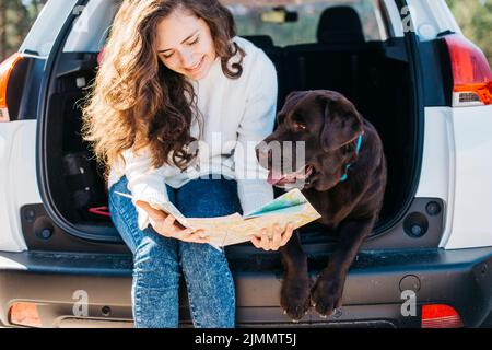 Big black dog car 2 Stock Photo - Alamy