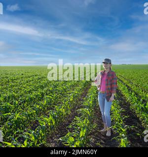 Female caucasian maize farmer with tablet computer inspecting stalks at ...