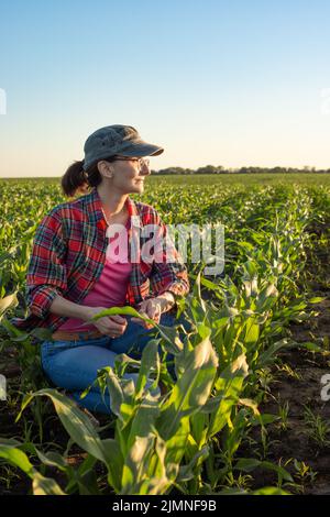 Middle age female caucasian maize farmer with tablet computer kneeled ...