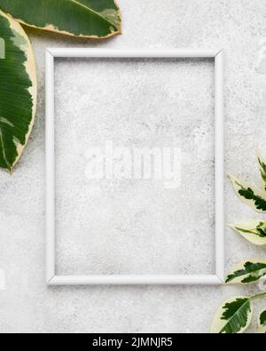 Top view frame with plant leaves Stock Photo - Alamy