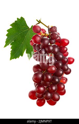 Ripe white seedless grapes on a white isolated background Stock Photo - Alamy
