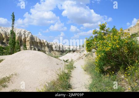 beautiful landscape of cappadokia, turkey with plants and rocks Stock ...