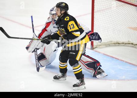 (Editorial Only) Avery Hayes(13) of the Hamilton Bulldogs. Luke Durda ...