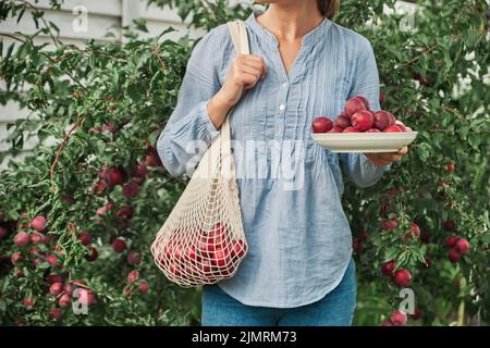 A mesh string bag with fruit, a plate of cherries and a phone on a ...