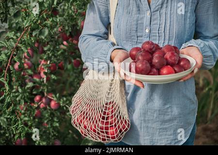 A mesh string bag with fruit, a plate of cherries and a phone on a ...
