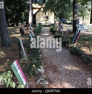 Villa Carpena, known for being the residence of the Italian dictator ...