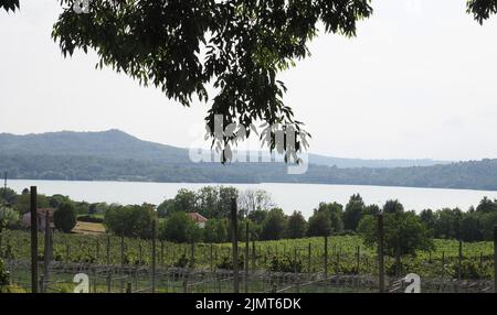 Lago di Viverone lake in Italy Stock Photo - Alamy