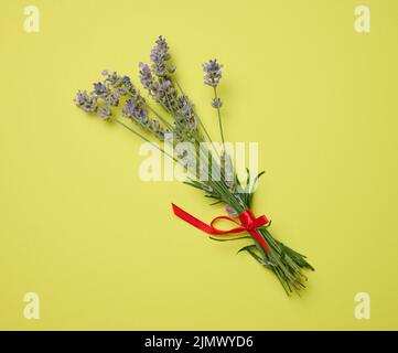 Bouquet of lavender tied with a red ribbon on a green background, top ...