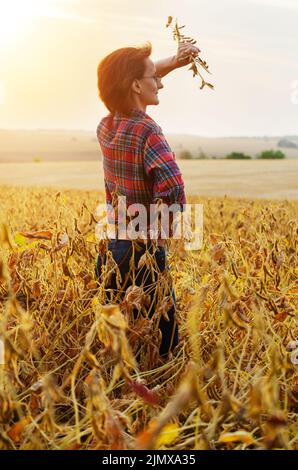 Middle aged caucasian female farm worker with tablet inspecting maize ...