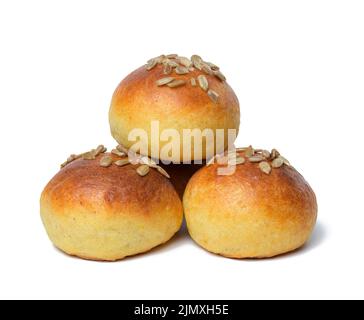 A closeup of bunch of sunflower seeds Stock Photo - Alamy