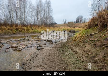Small parched forest river in an autumn evening Stock Photo - Alamy