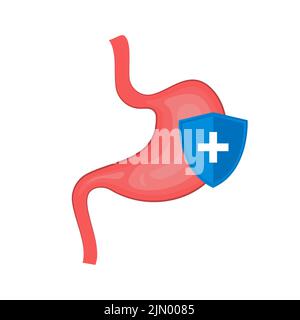 Shield and stomach. Stomach protection. Healthy preserved intestine ...
