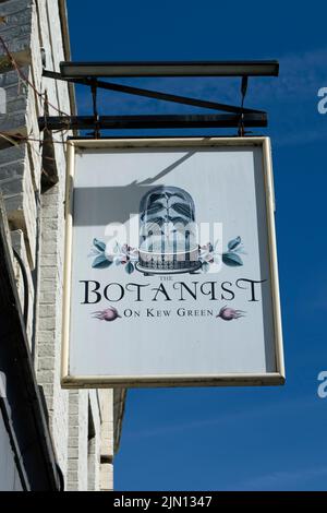 british pub sign for the botanist, on kew green adjacent to kew gardens ...