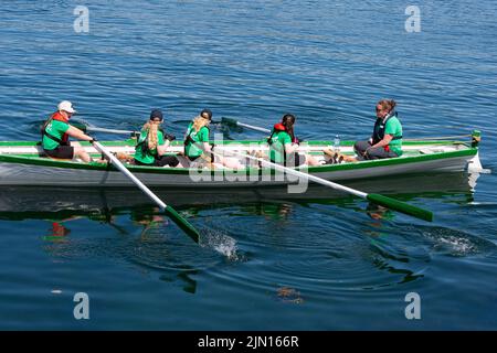 Portmagee Rowing Regatta, County Kerry, Ireland Stock Photo - Alamy