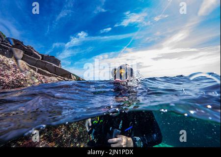 diver surfaces in the tropical waters of the Andaman Sea Stock Photo ...