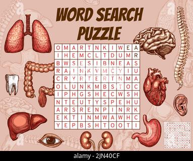 Human body organs, word search puzzle game worksheet vector riddle grid ...