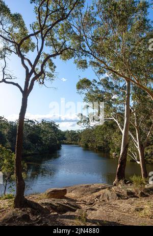 View of Lake Parramatta from the Arrunga Bardo Walk part of the Lake ...