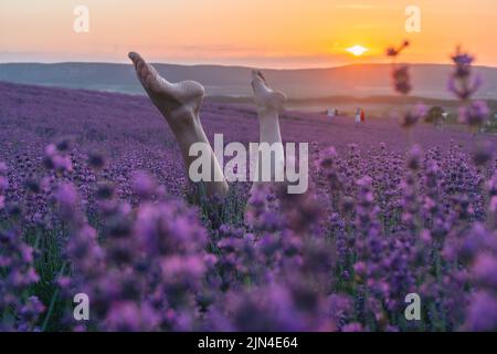 Selective focus. Slender ballerina girl legs in lavender bushes, warm ...