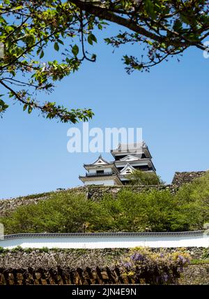 View of Ozu castle, reconstructed in 2004 using traditional building ...