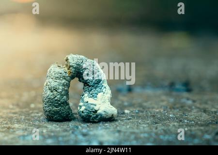 Chicken droppings close-up on a blurred background. Chicken turd of an ...