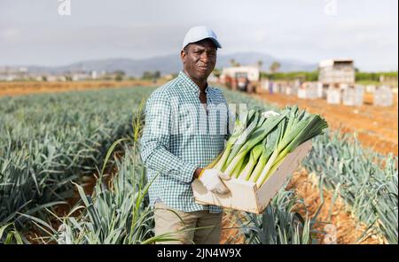 African american man with a box of leeks in field Stock Photo - Alamy