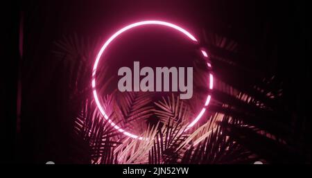 Image of leaves over pink neon square on blue background Stock Photo ...