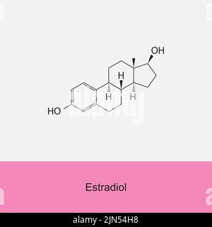 Estradiol hormone molecular structure on white background. Vector ...