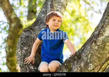happy little boy climbing tree at park Stock Photo - Alamy