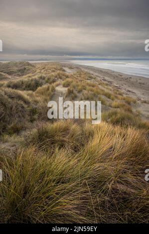 Tussock grass covering a coastline under a moody sky Stock Photo - Alamy