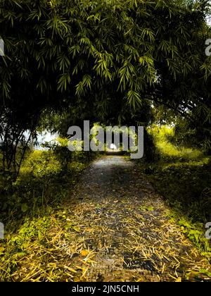Bamboo made corridor in a park in Tripura. Small bamboos are stick-ed ...