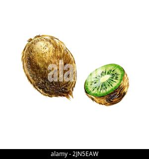 Kiwi slices illustrations isolated on white background. Fresh, tropical ...