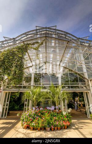Bicentenary Glasshouse in the RHS Wisley garden, Surrey, UK. This ...