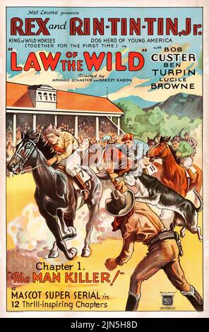 Vintage film poster - Rex and Rin-Tin-Tin - Law of the Wild (Mascot ...