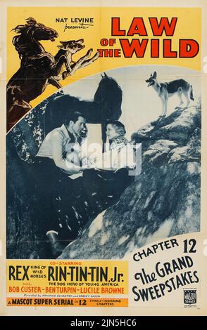 Vintage film poster - Rex King of Wild Horses and Rin-Tin-Tin - Law of ...