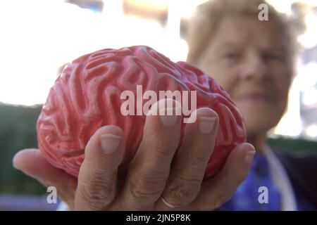 An elderly lady with a rubber brain looks at the camera Stock Photo - Alamy