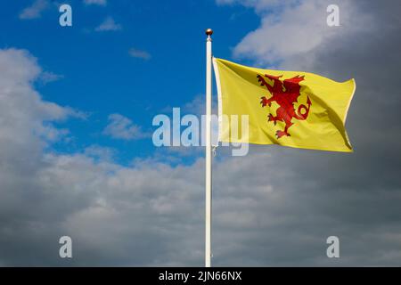 the county council flag of somerset flying on a summers day Stock Photo ...