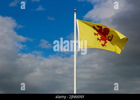 the county council flag of somerset flying on a summers day Stock Photo ...